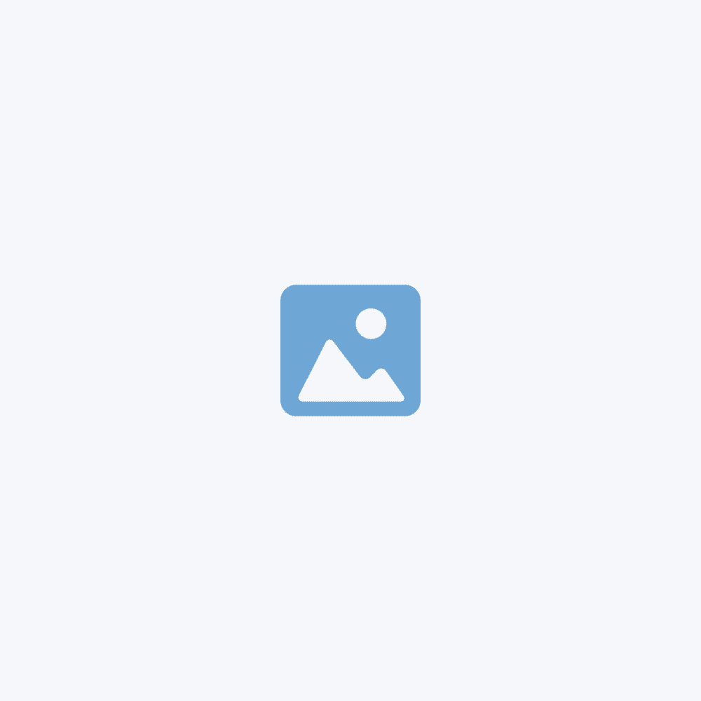 Image-Placeholder - NerdOptimize